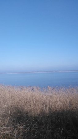 VID_20250128_115921