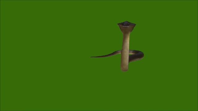 змея 16