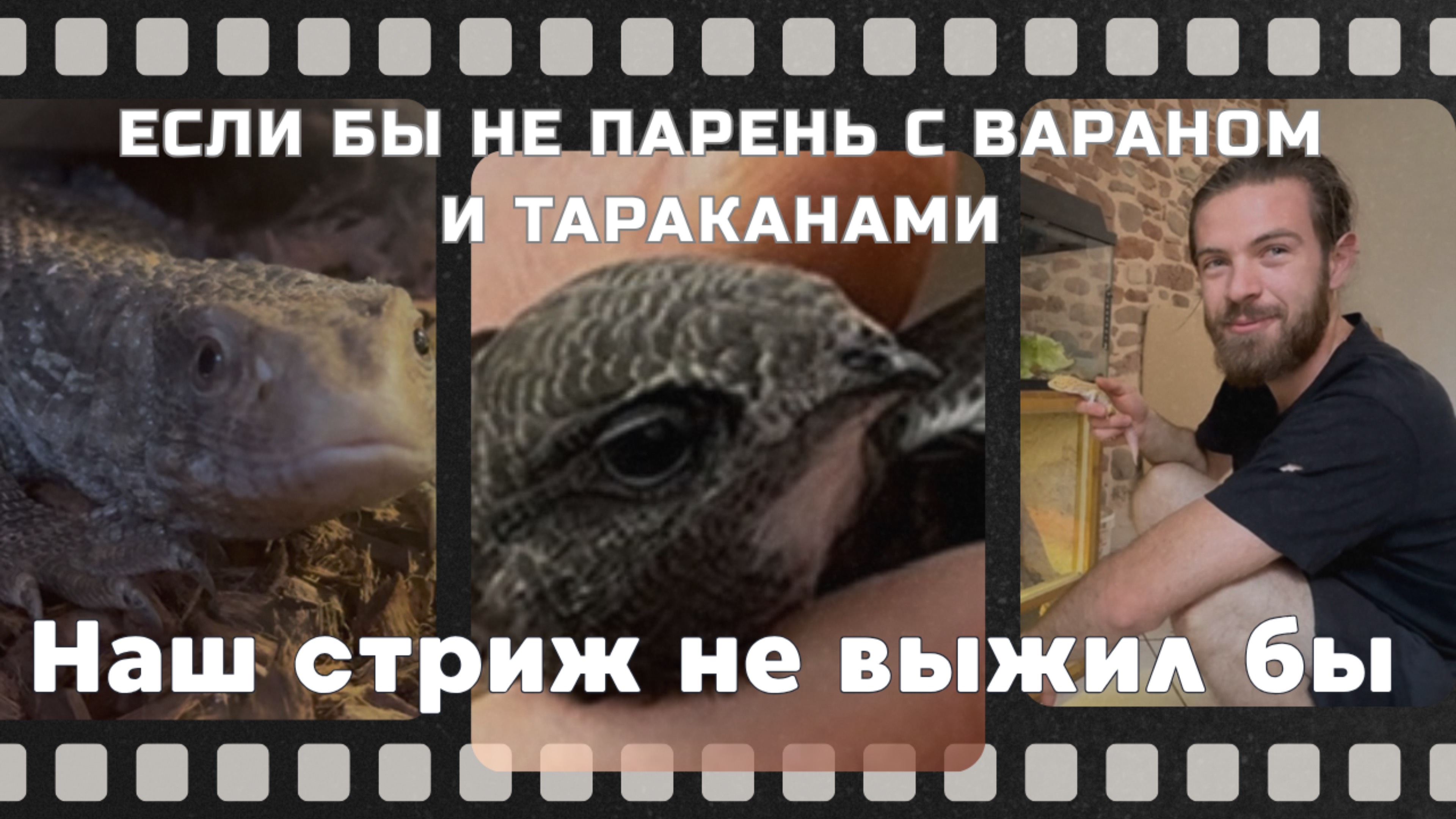 Он выращивает тараканов и держит рептилий. И он спас нашего птенца