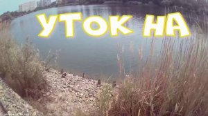 УТКИ