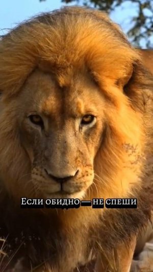 тенденции дня