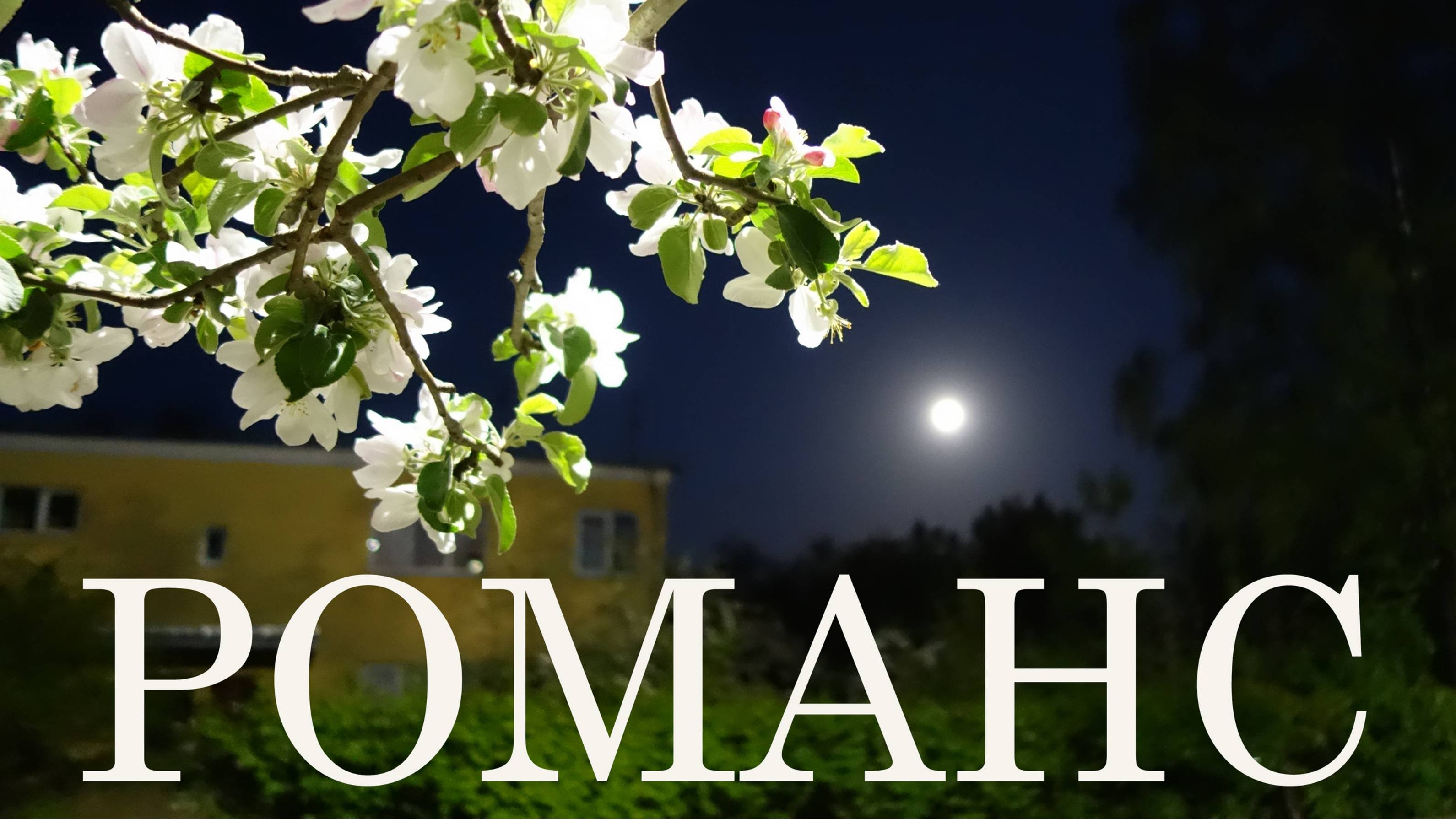 "Но я знаю, ты любишь другого". Поет Галина Орлова, (Калининград). 25 июля 2025г.