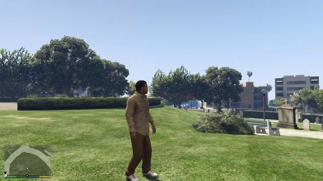 Grand Theft Auto V. Фотографии обезьяньей мозаики.