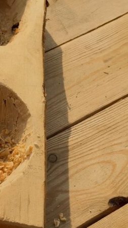 Миска для собаки
