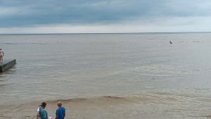 Лермонтова море грязное после дождей