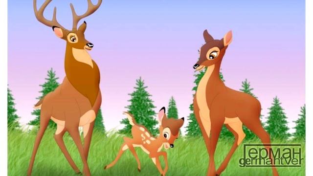 Животные семьи (средней полосы России) - Kol-O-Bok