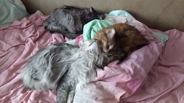 1000006269.mp4