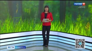 Местное время. Итоги недели с Майей Аленовой (28 июля - 3 августа 2025 г.)