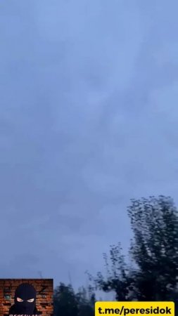 Герани в своей естественной среде. В полёте на Киев