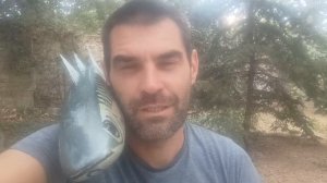 Подсадная приманка для подводной охоты. Ловим пелингаса