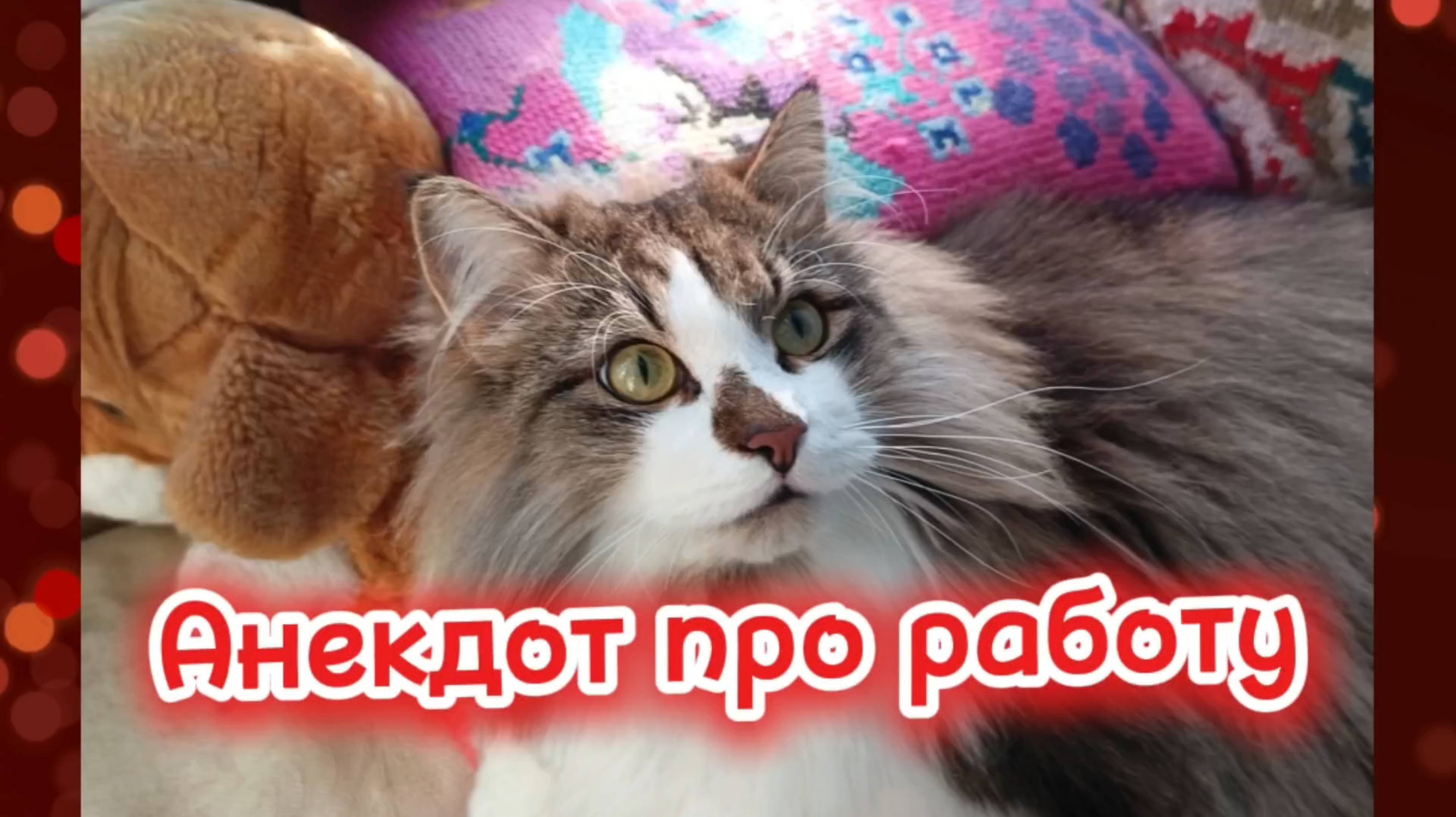 Анекдот про работу.