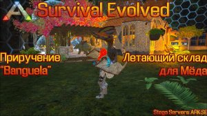 ARK Survival Evolved Приручение "Banguela" Хранилище для Мёда