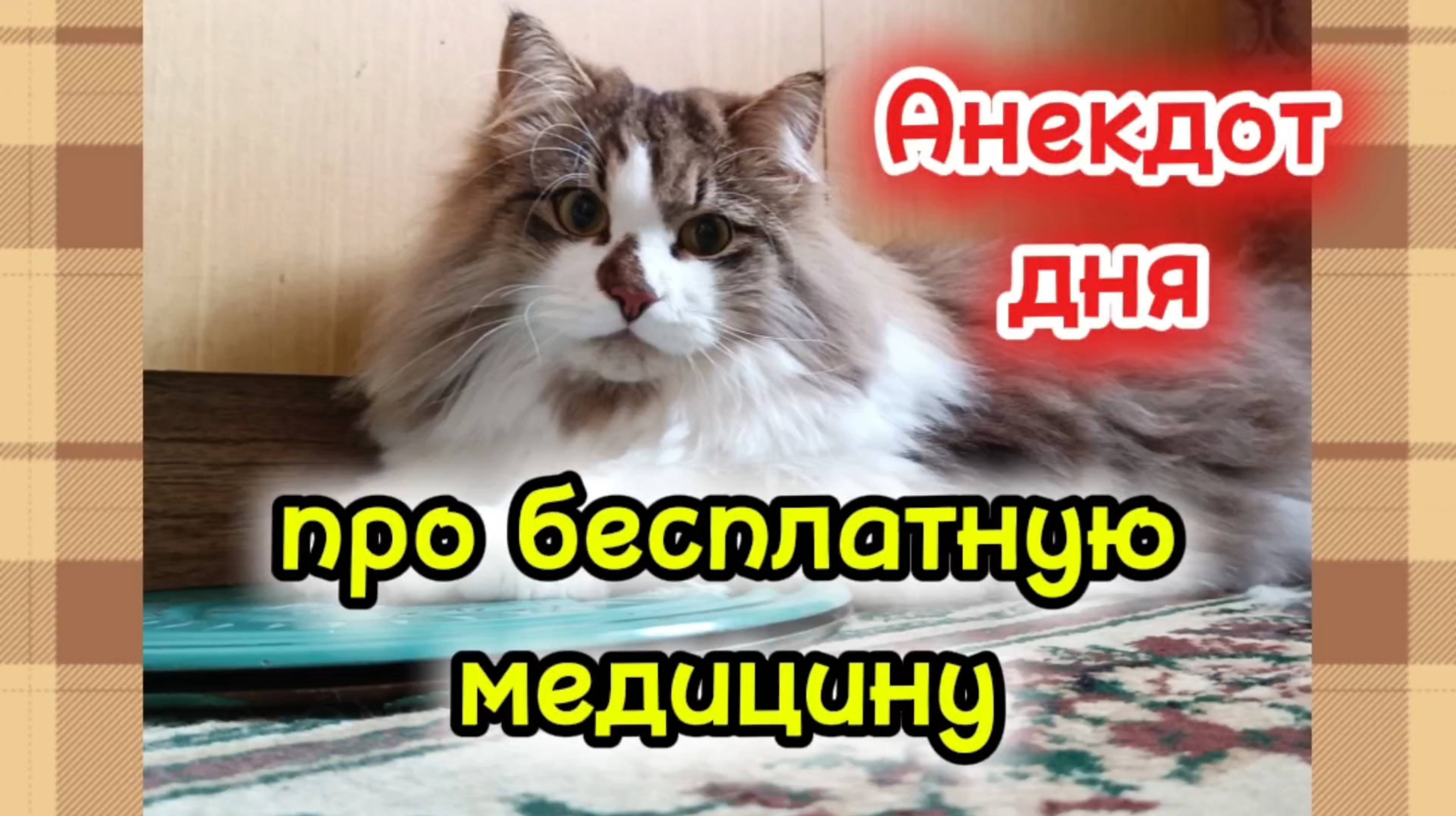 Анекдот дня про медицину.