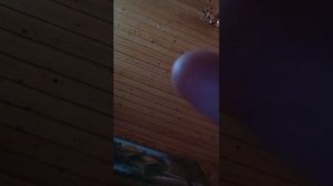 раздача заходи