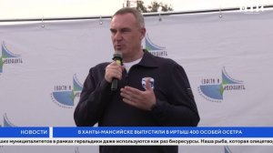 В Ханты-Мансийске выпустили в Иртыш 400 особей осетра