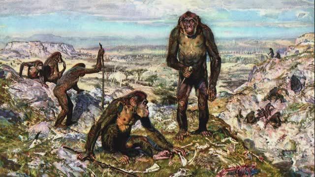 Теория заговора голубых. 05 серия. Субъективное восприятие трусов голубыми.