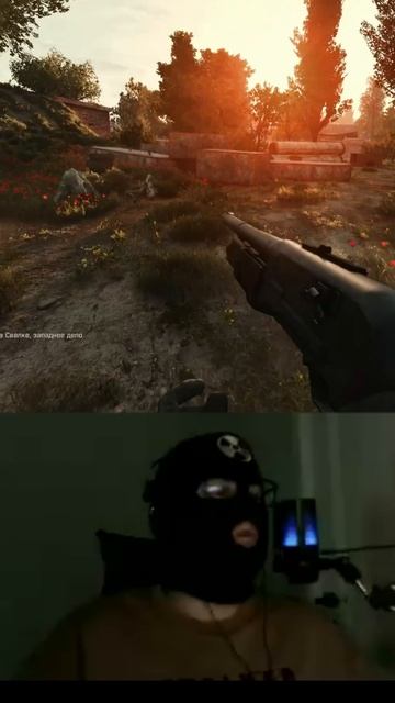 ПЕС спас от Кикимор #anomaly #stalkergamma #stalkeranomaly #gamma