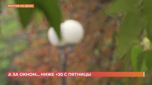 А за окном. 4 августа 2025