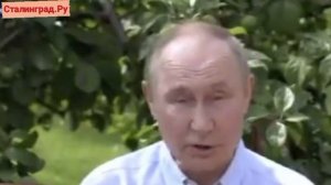 Путин: Часов Яр был освобожден несколько дней назад