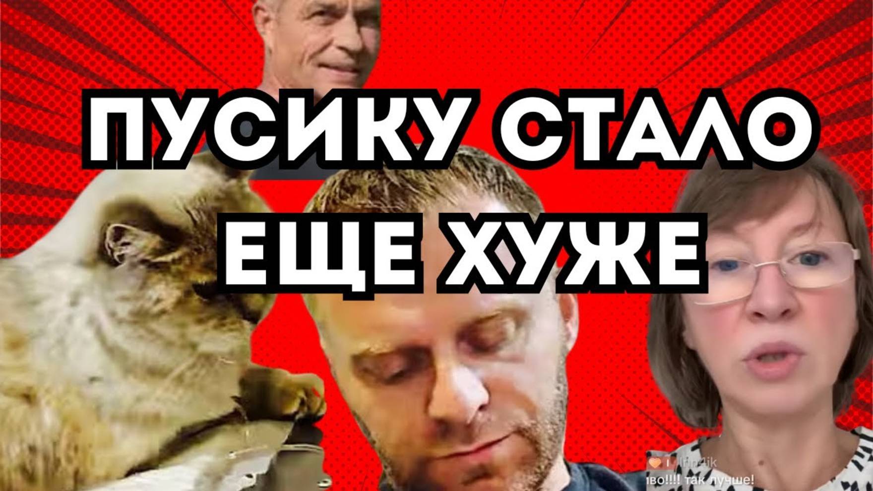 Снежная Королева- Подбираем антибиотик! Сытник будет есть варенье из пепельницы!