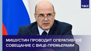 Мишустин проводит оперативное совещание с вице-премьерами