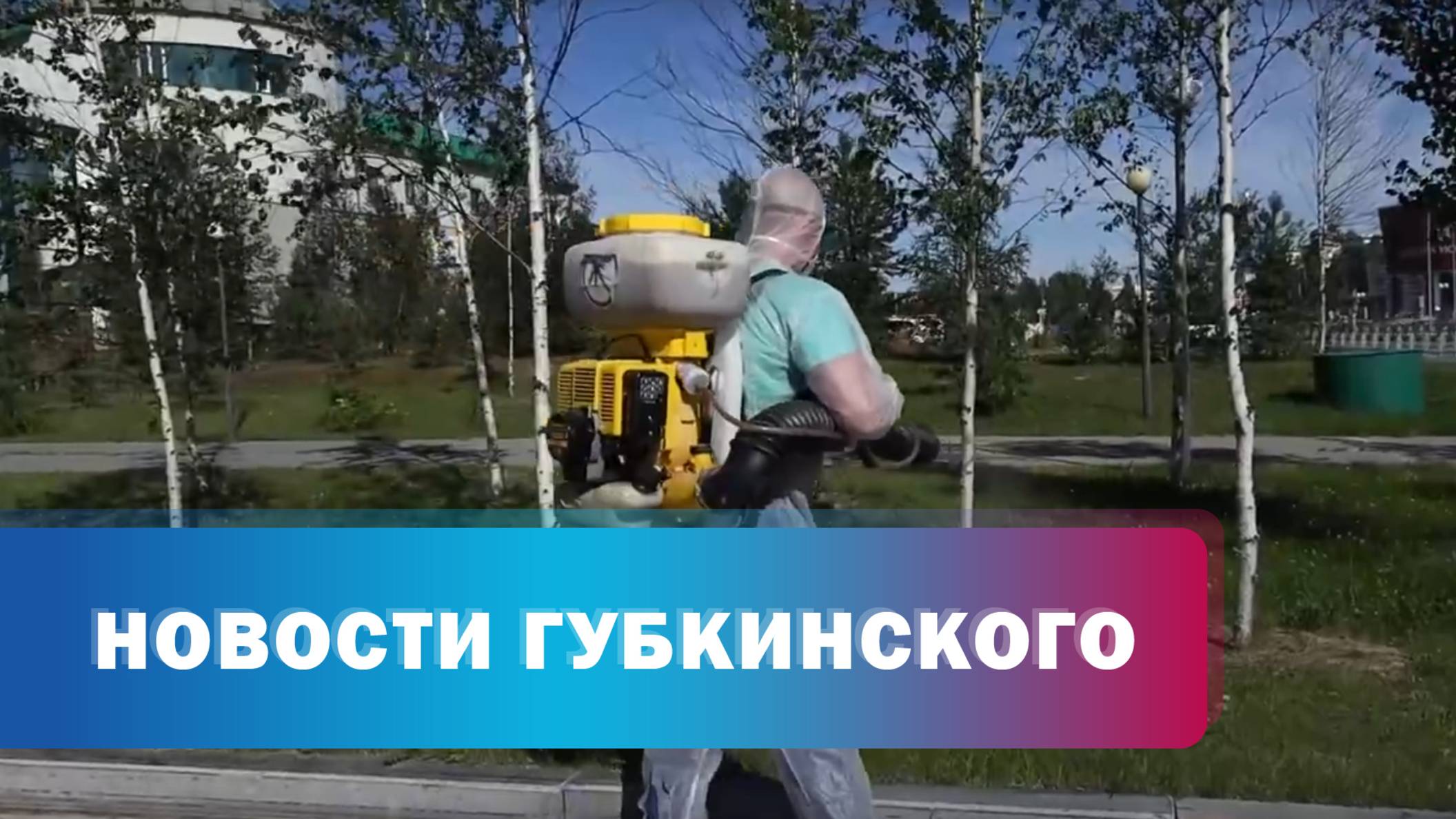Обработка от насекомых