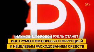 Наумов: цифровой рубль станет инструментом борьбы с коррупцией и нецелевым расходованием средств
