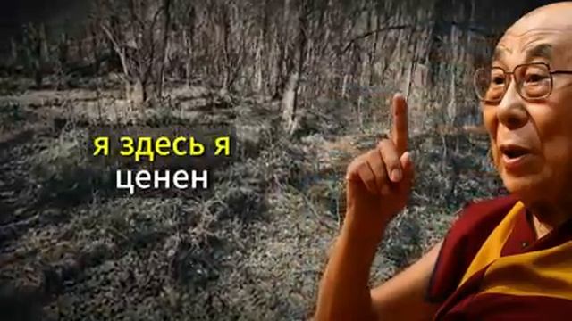Почему умные и хорошие люди живут в нищете