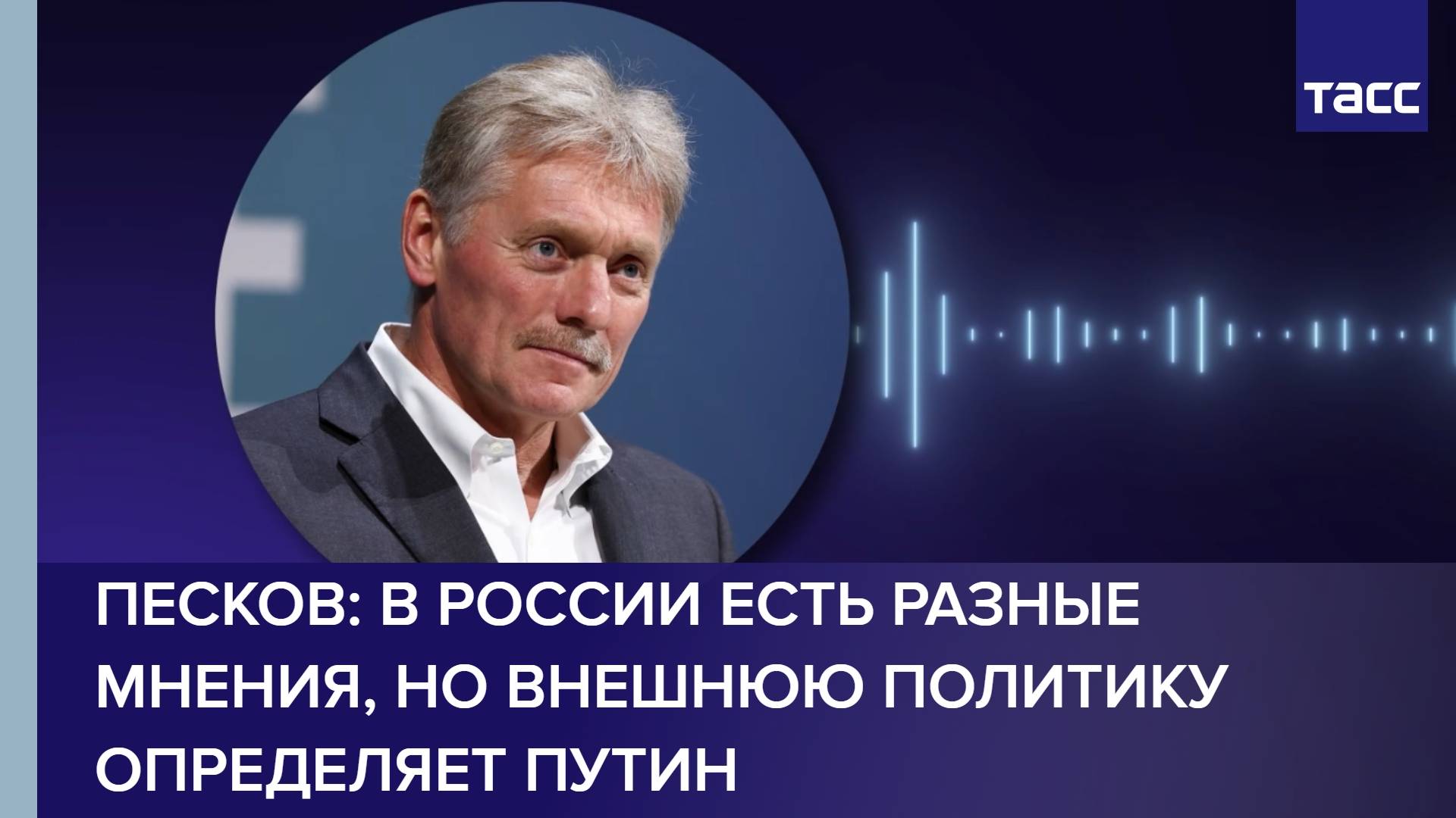 Песков: в России есть разные мнения, но внешнюю политику определяет Путин