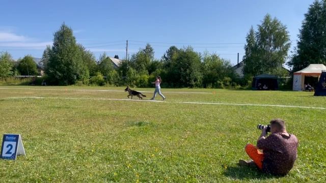 ПОДРОСТКИ КОБЕЛИ / КЧК КОТЛАС 26 июля`25 А.Буйнова Моно немецких овчарок