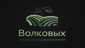 Номера лотов лошадей Фермерского хозяйства Волковых 8 августа на АУКЦИОНЕ РМ в Чувашском к/з