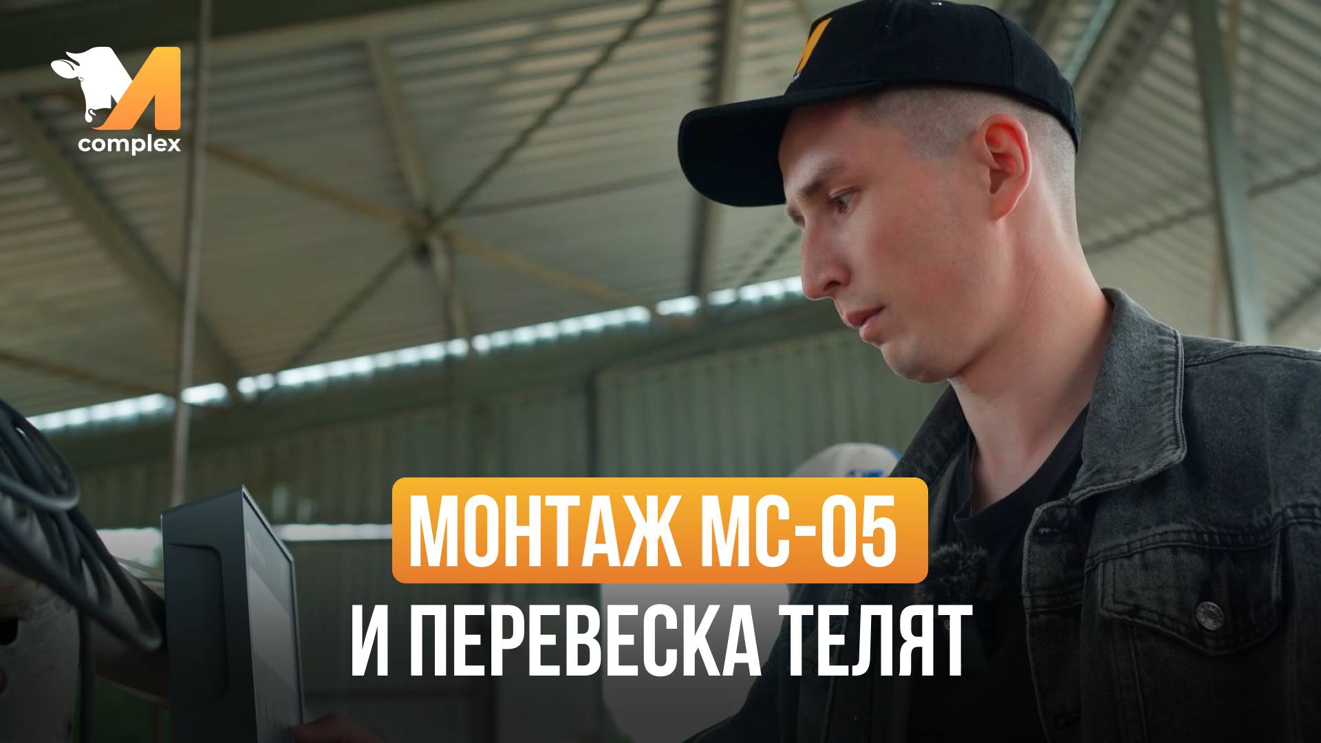 Монтаж МС-05 и перевеска телят | ООО «Калужская Нива»