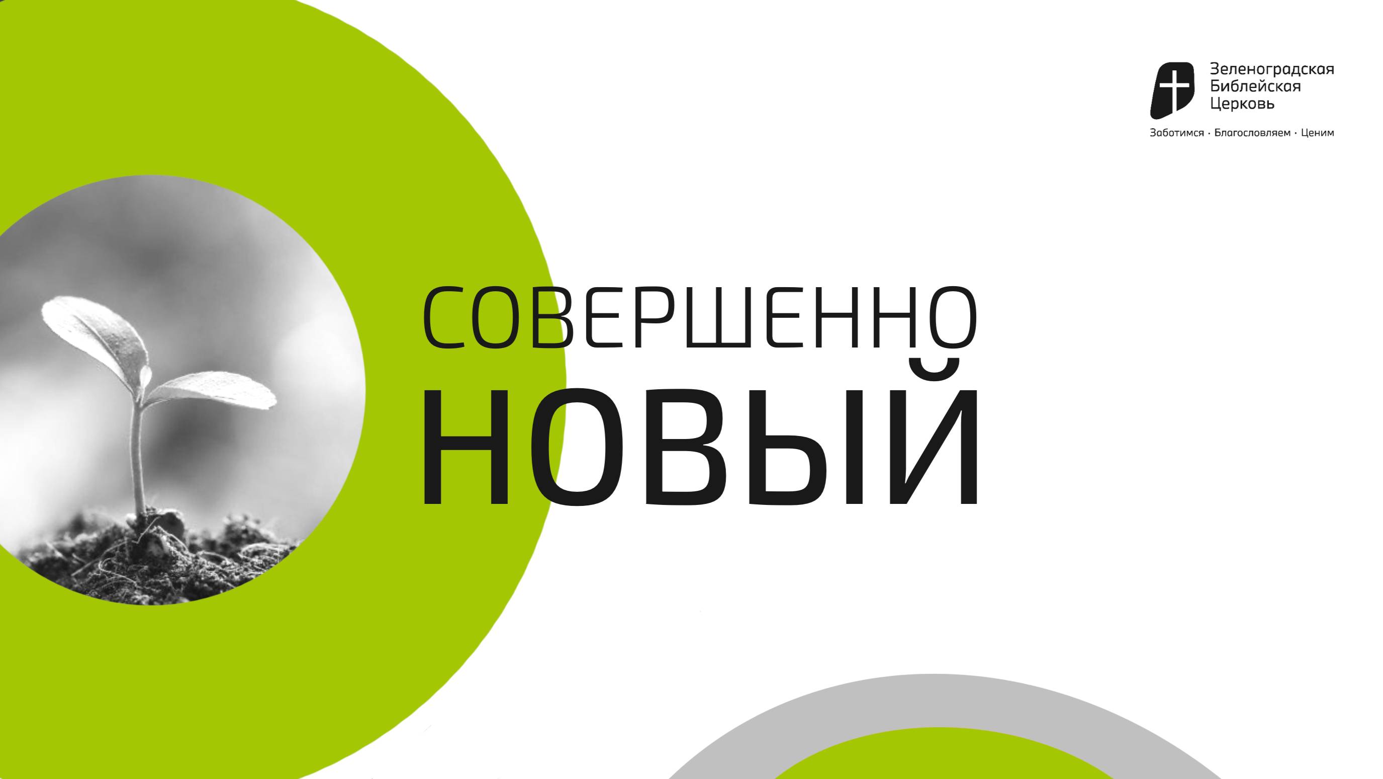 Совершенно новый | Павел Колесников