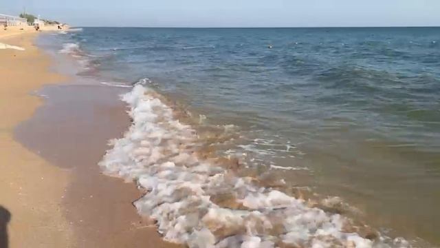 Почему выбираем отдых на Азовском море в Голубицкой