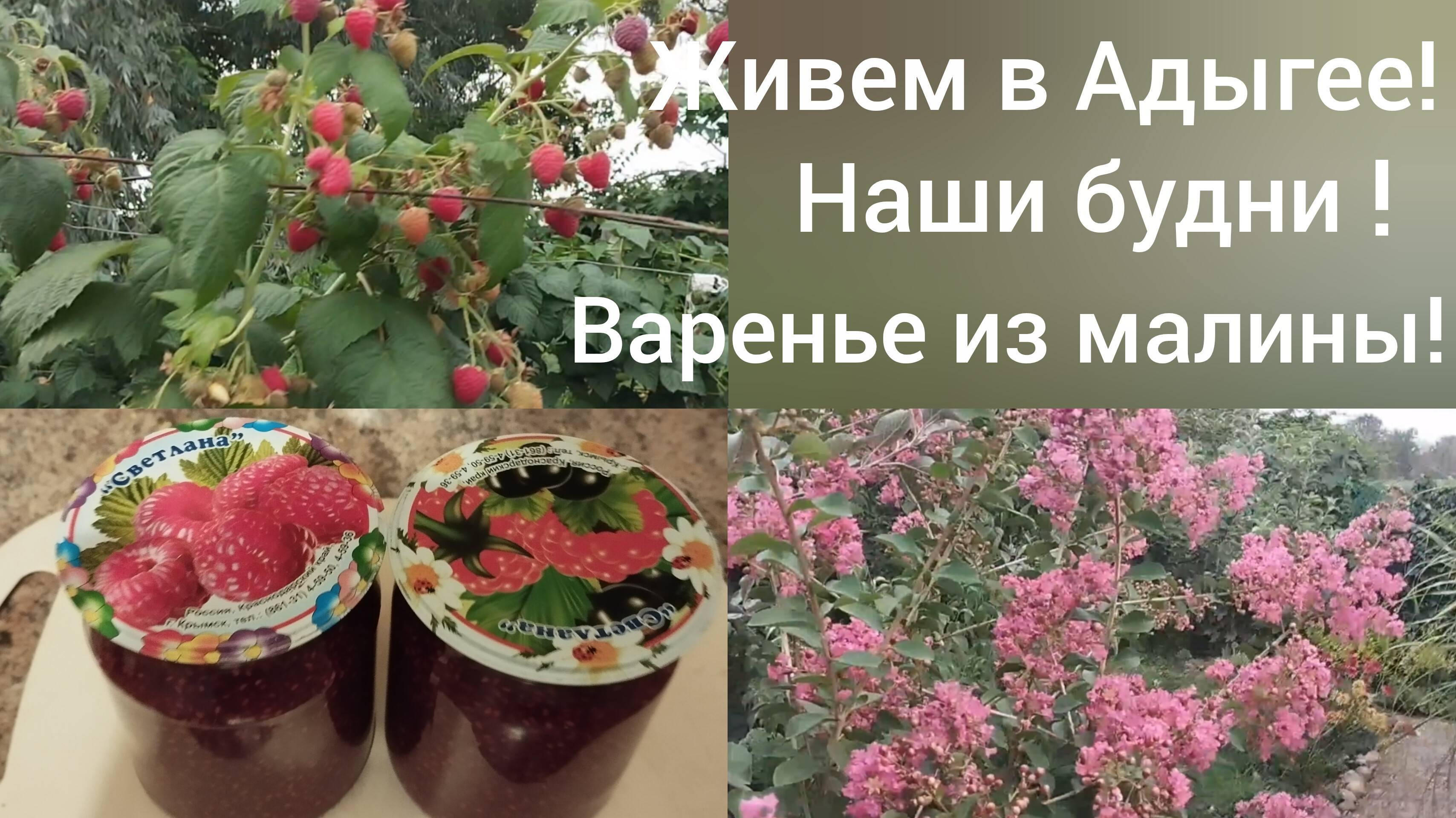 Переехали в станицу Гиагинскую/Наш сад/Варенье из малины/Сибиряки в Адыгее
