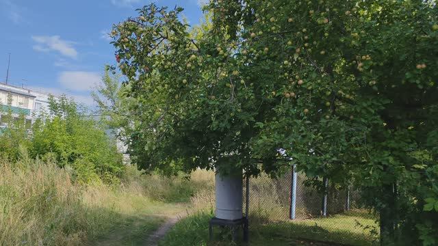 Каникулы в деревне, деревенская прогулка