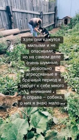 Мне надоели эти карусели #уралочка #уральскаядевушка