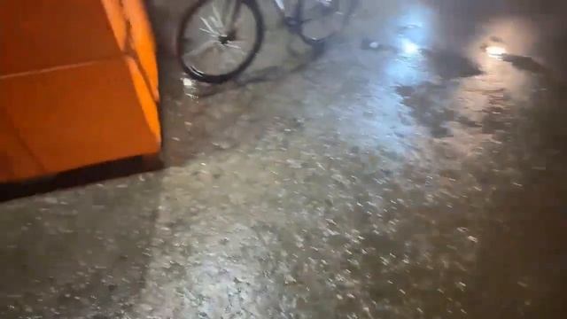 Syslov171 Жёсткий велацион за пивом на велосипеде Здравый стрим Суслов #шок