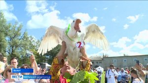 ГТРК СЛАВИЯ Гусиные бега в Волоте 2025 05.08.25