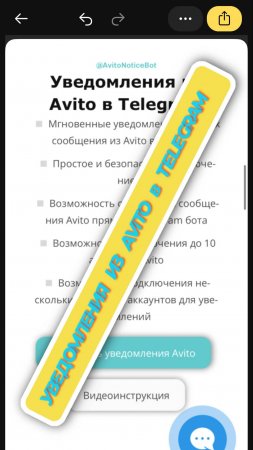 Из Авито в Телеграм УВЕДОМЛЕНИЯ! Как вернуть уведомления на IPhone?