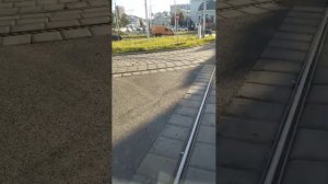 Поездки в общественном транспорте | 5-авг-2025