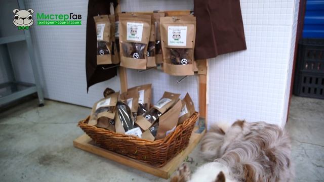 Экскурсия по производству лакомств Мистер Гав.  Часть 3