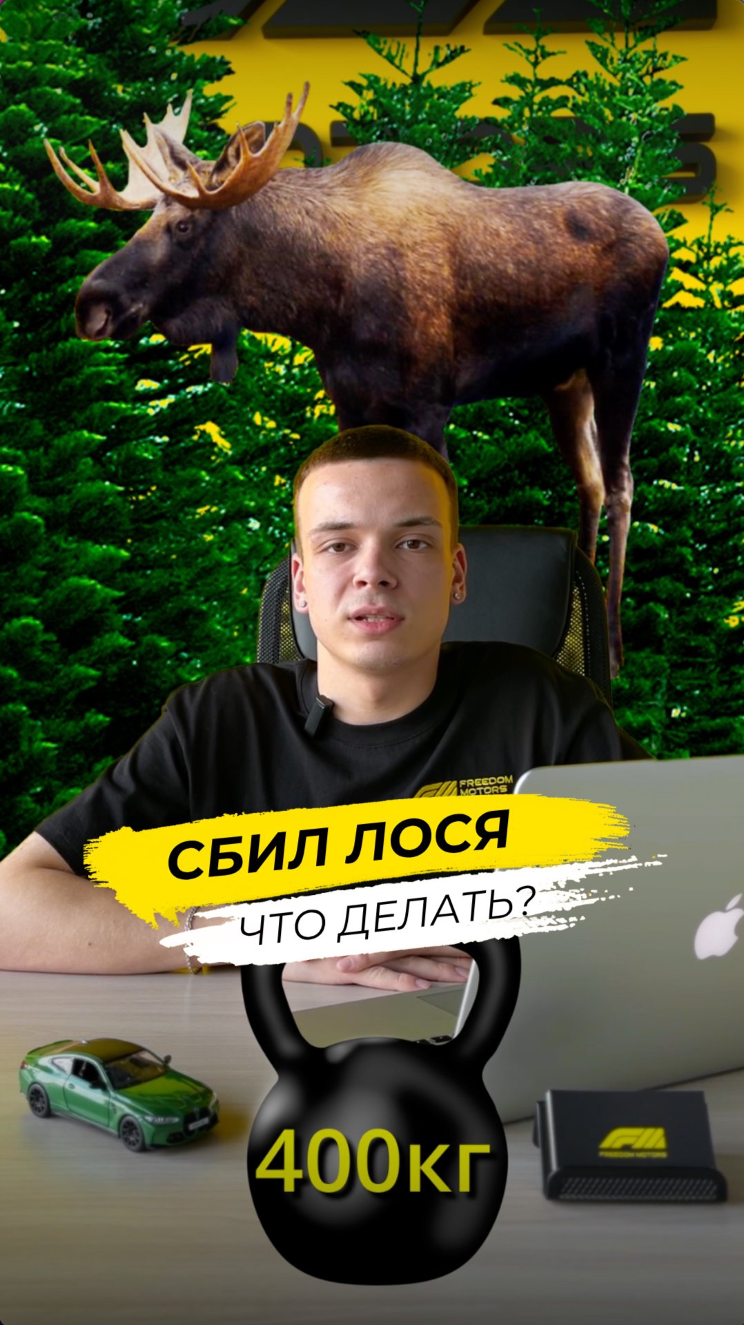 ДТП с лосем. Штрафы, ущерб и угроза жизни!