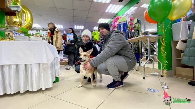 Юбилей Мистер Гав 10 лет