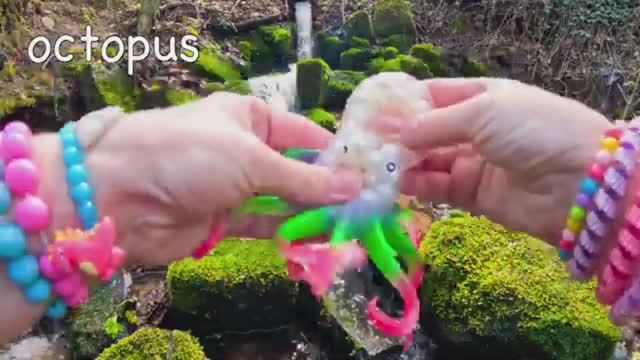 Веселый водопад Учите названия морских животных для детей Осьминог, Рыба-лев, Дельфин, Омар, рыба-фу