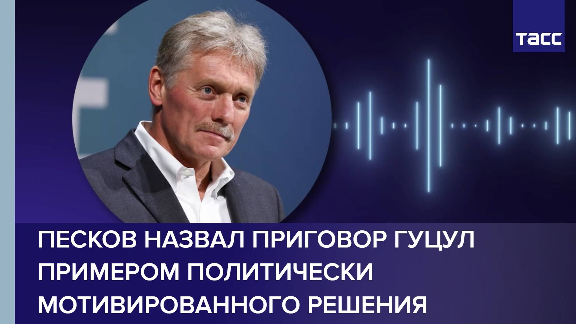 Песков назвал приговор Гуцул примером политически мотивированного решения