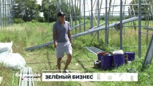 ЗЕЛЁНЫЙ БИЗНЕС. Большой город 05/08/2025