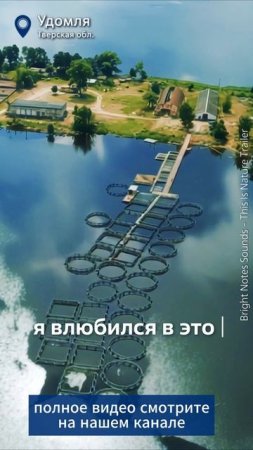 Фермер из Удомли о своем хозяйстве в атомном городе