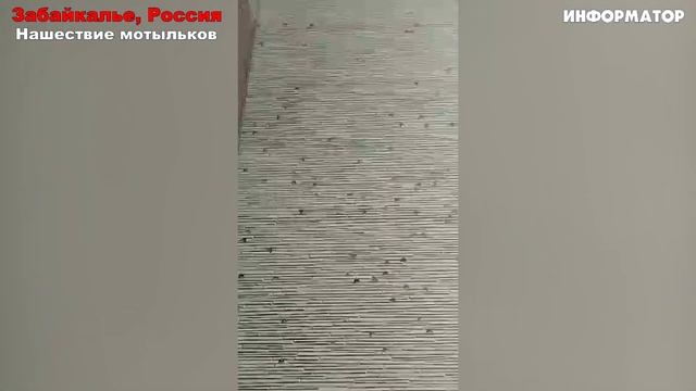 Новости_Сегодня_05_08_2025_Россия,_Москва,_США Венс