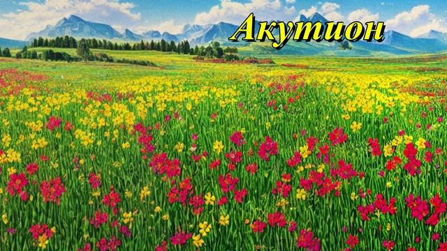 Акутион